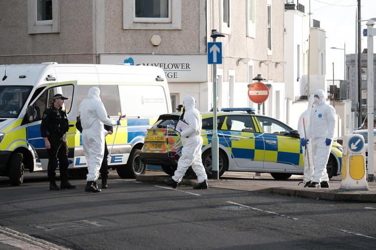 Man admits murdering ‘beautiful caring’ university lecturer in Plymouth