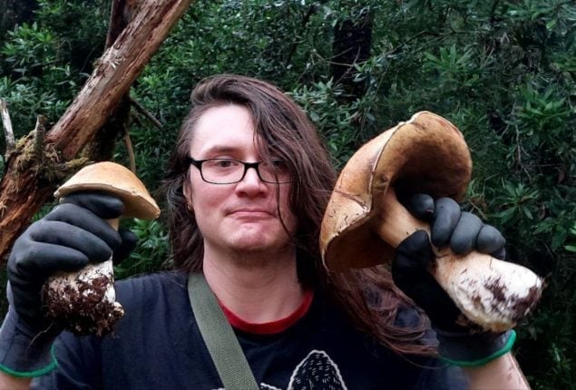 From Fans To Fury: The Unraveling of Pirate Software