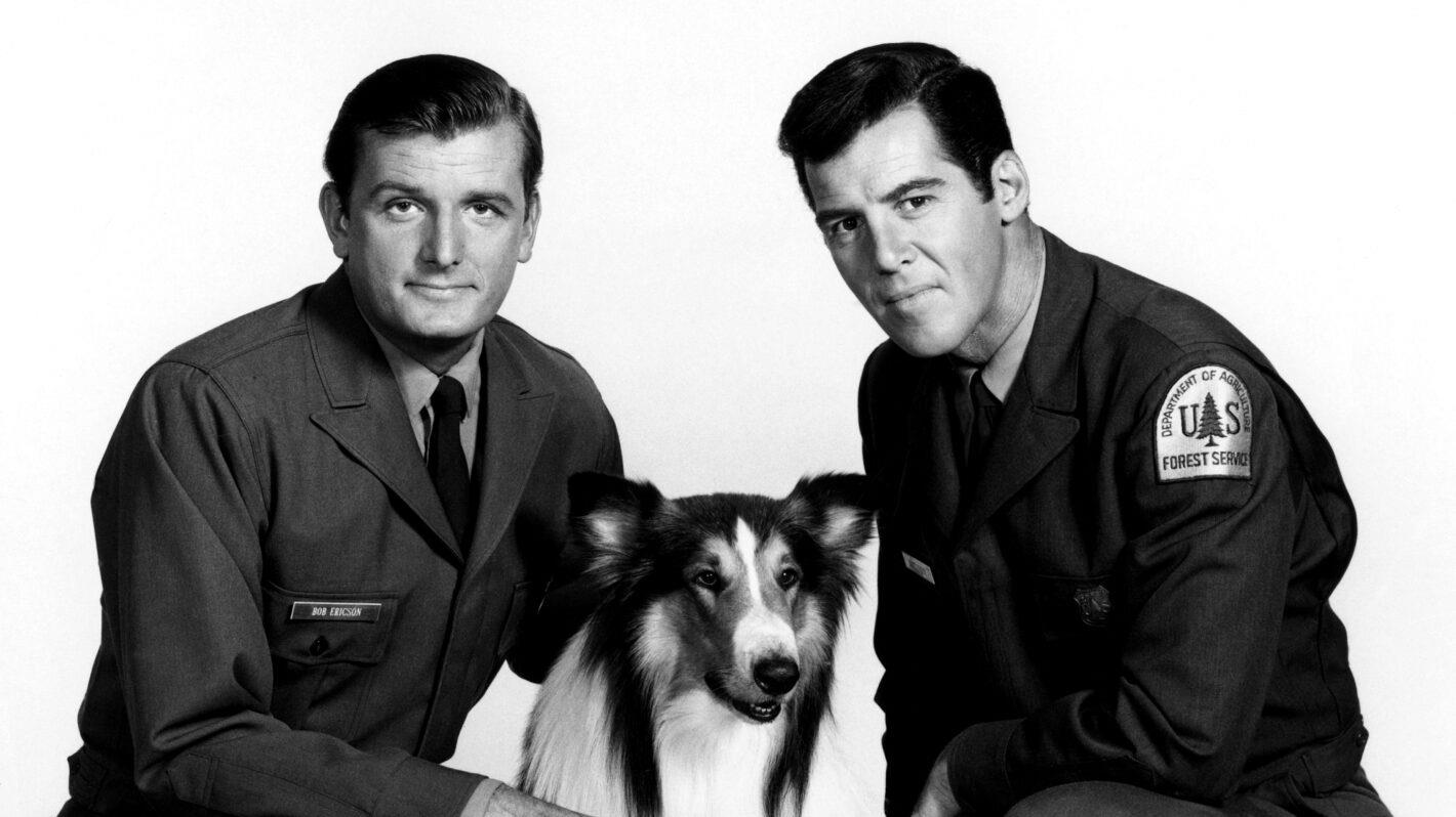 Jack De Mave from ‘Lassie’ & ‘The Mary Tyler Moore Show’ Dies at 91