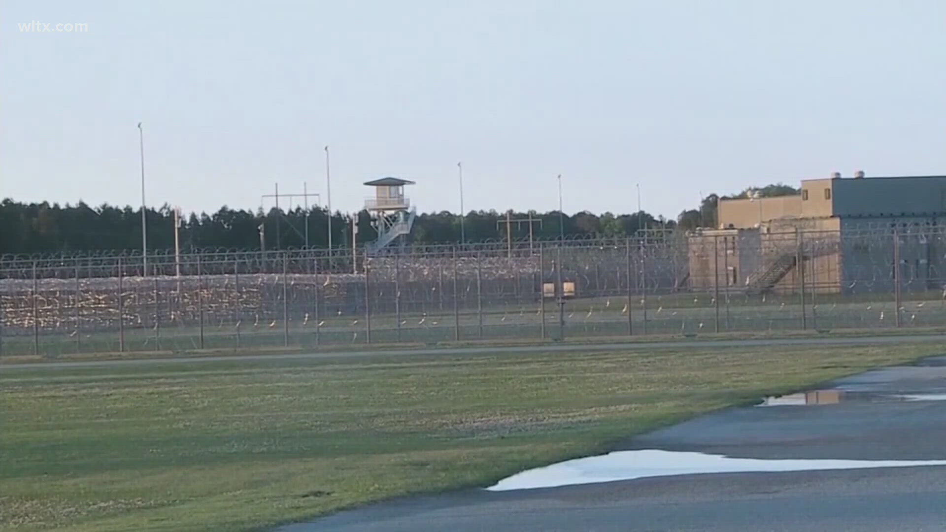 Gov. McMaster announces appointment for SC Department of Probation ...