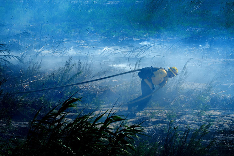 Laguna Fire near CSU Channel Islands reaches nearly 94 acres, 70% ...