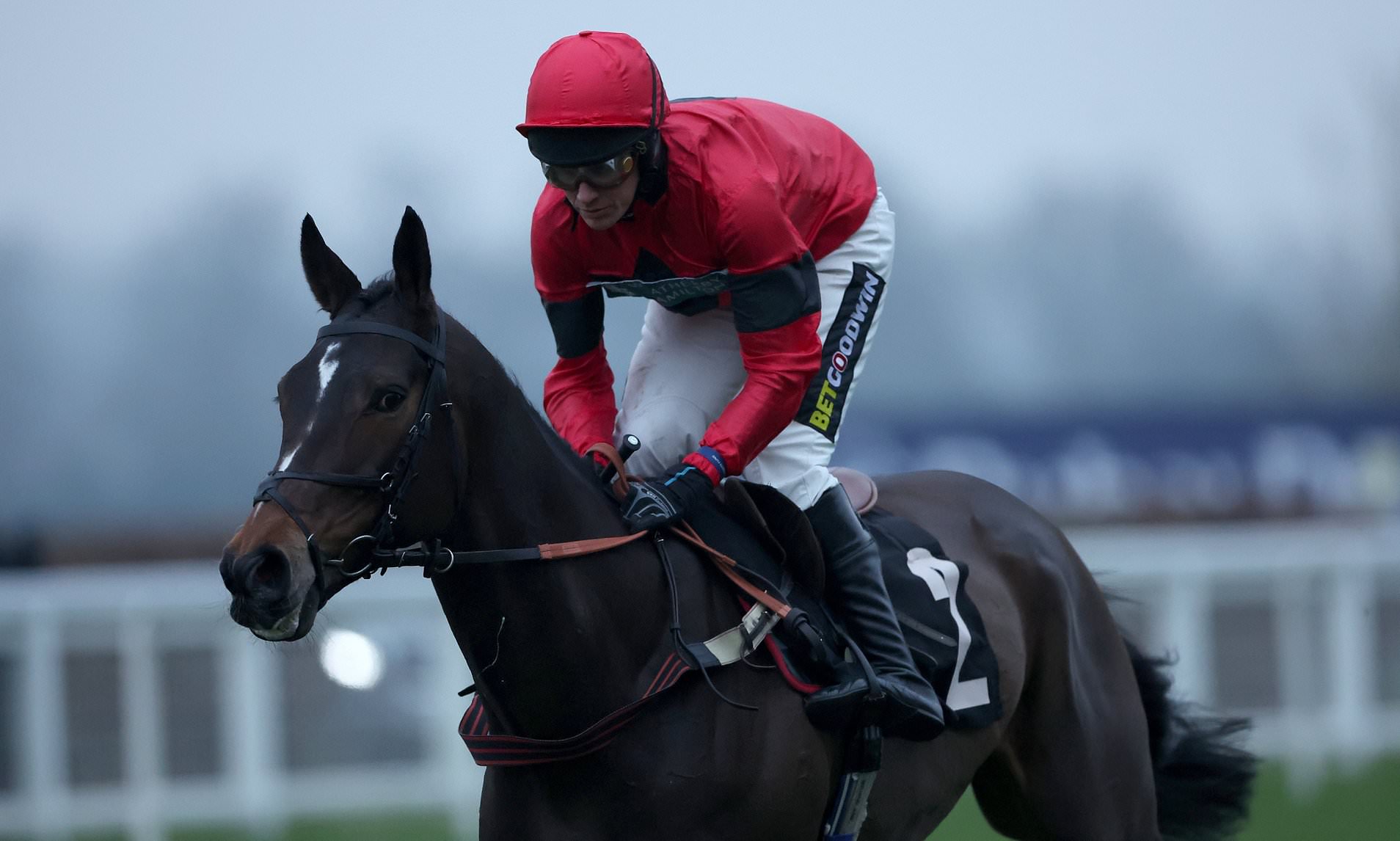 Robin Goodfellow's racing tips: Best bets for Saturday, January 25