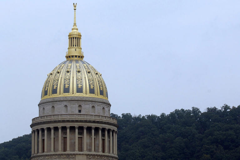 Head of West Virginia gun lobby appointed to replace lawmaker-elect ...