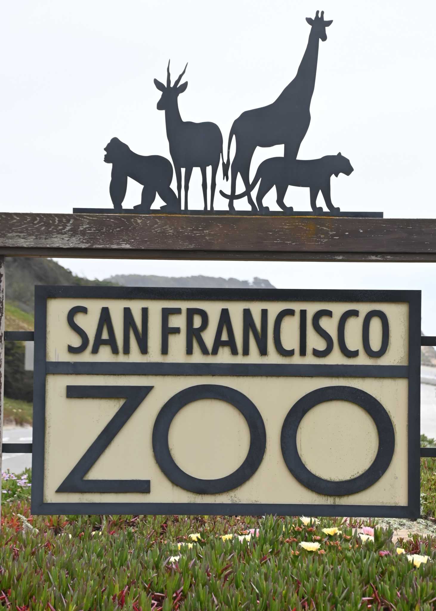 S.F. Zoo restaurant ordered to close due to rodent infestation