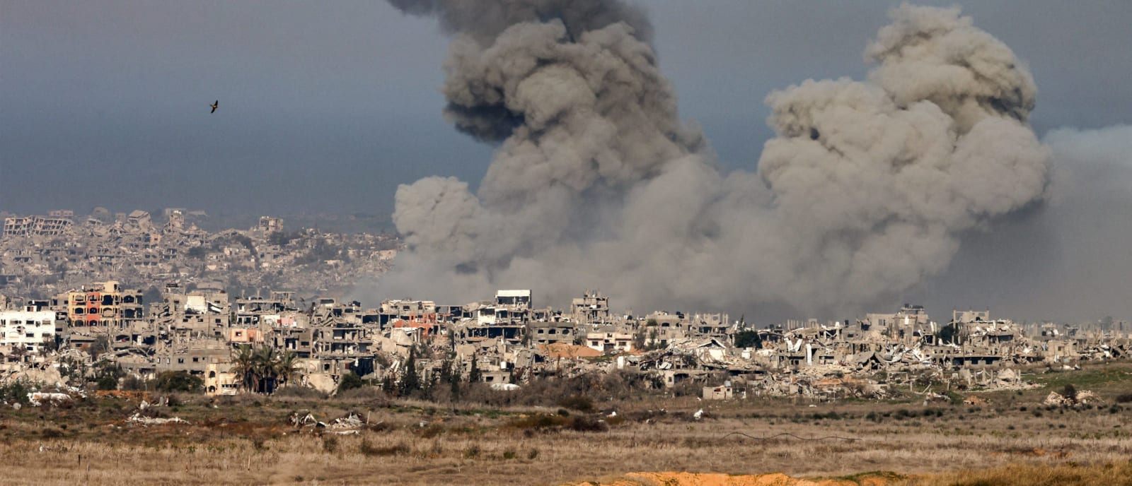 FACT CHECK: Video Shows Prisoners Celebrating Assad Regime Downfall ...