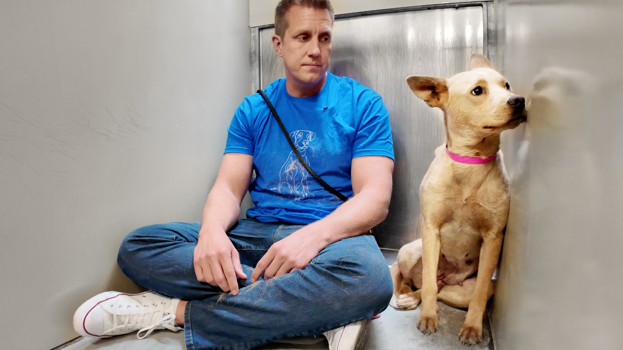 Dixie Was Too Scared to Trust—Then She Found Her Voice in the ...