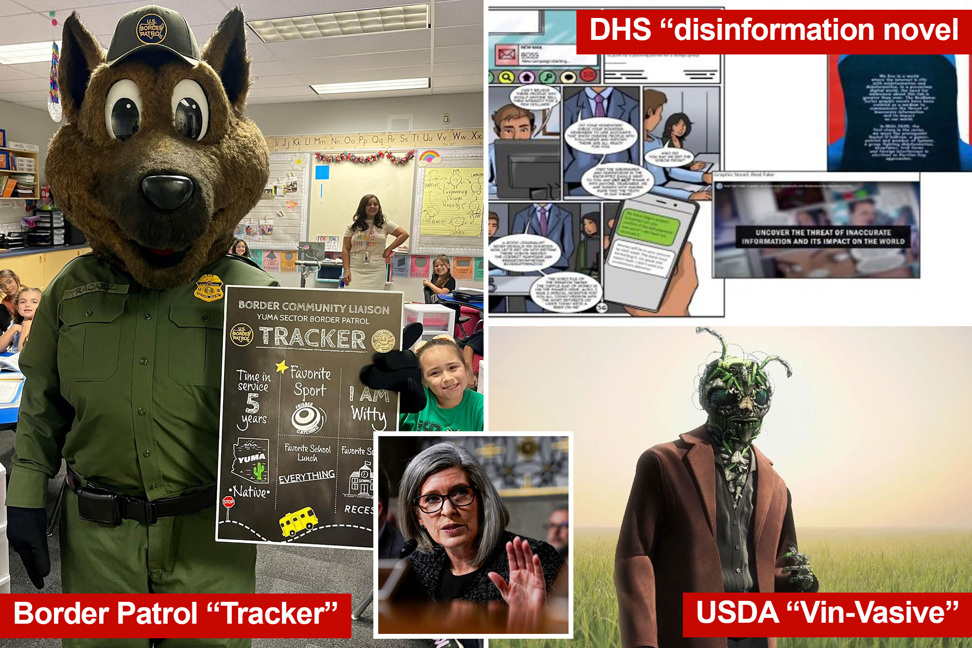 Senate DOGE caucus takes aim at $1.8B government fund for candy, comic ...