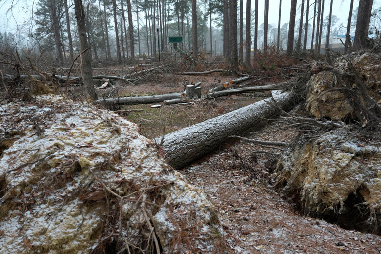 2.4 million cubic yards of tree debris collected in Augusta; final pass ...