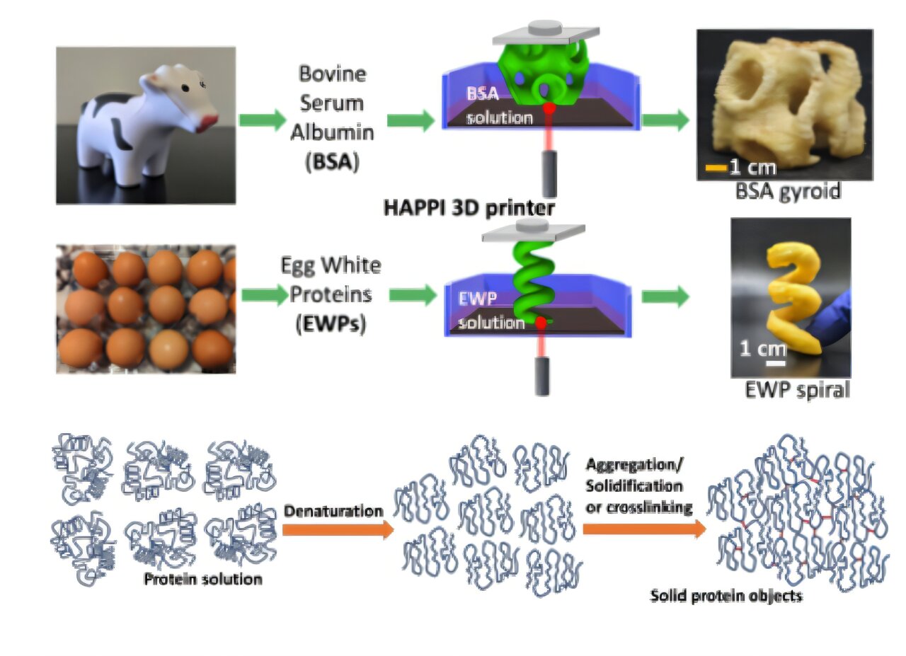 Protein denaturation provides a path toward more sustainable 3D ...