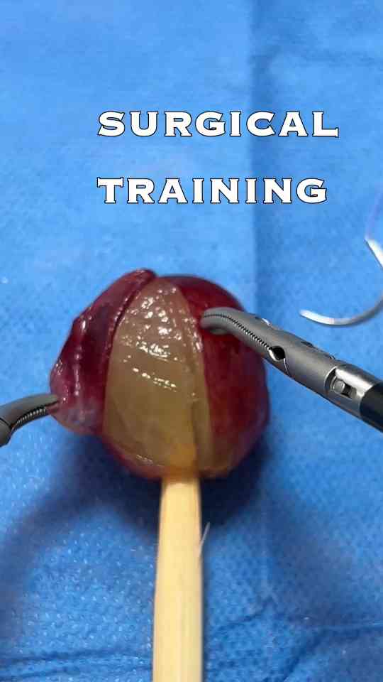 Precision Surgical Training with a Grape