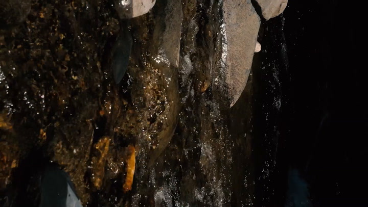 Day On The Tomifobia - Part 2 Of 2