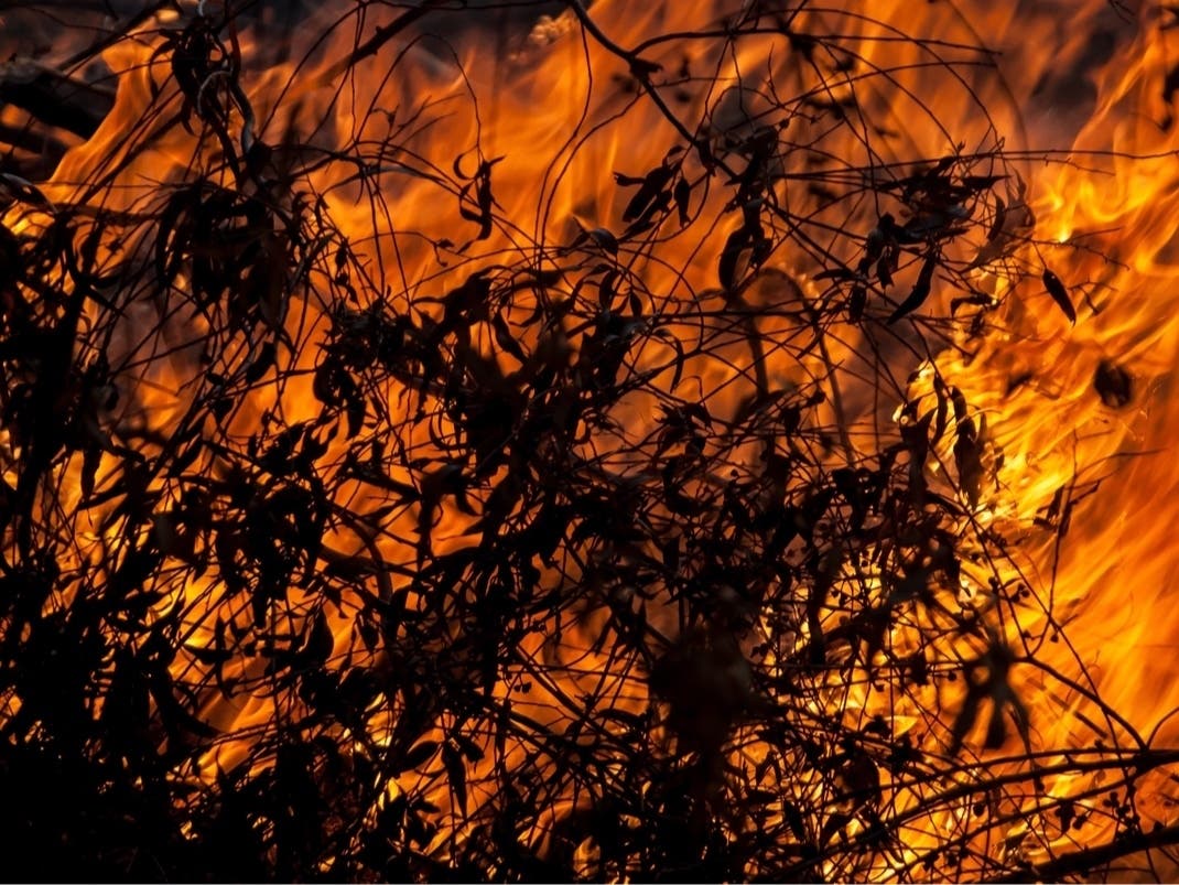 Camarillo Fire: Laguna Fire Burns 50 Acres West Of Malibu