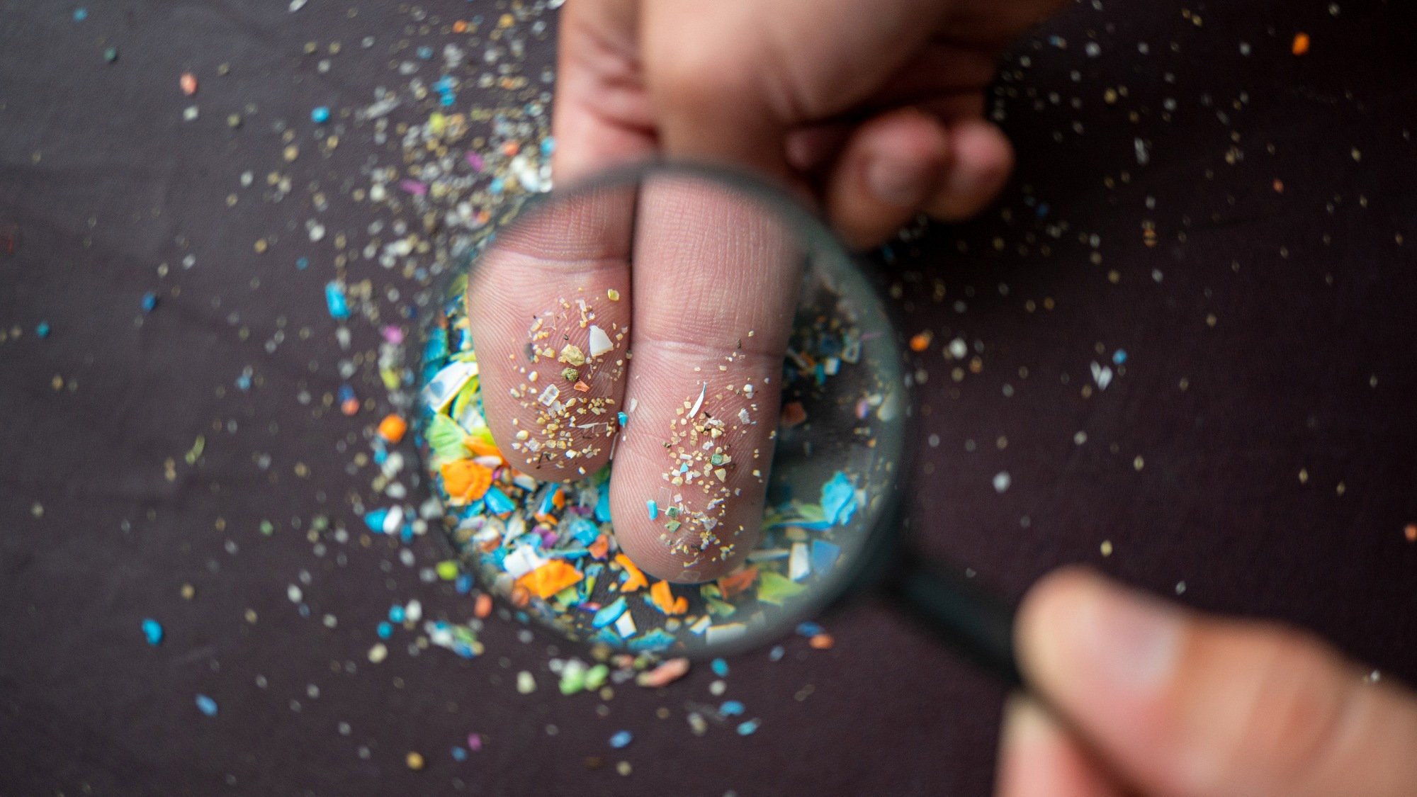 Microplastics in the bloodstream may pose hidden risks to brain health Microplastics in the bloodstream may pose hidden risks to brain health