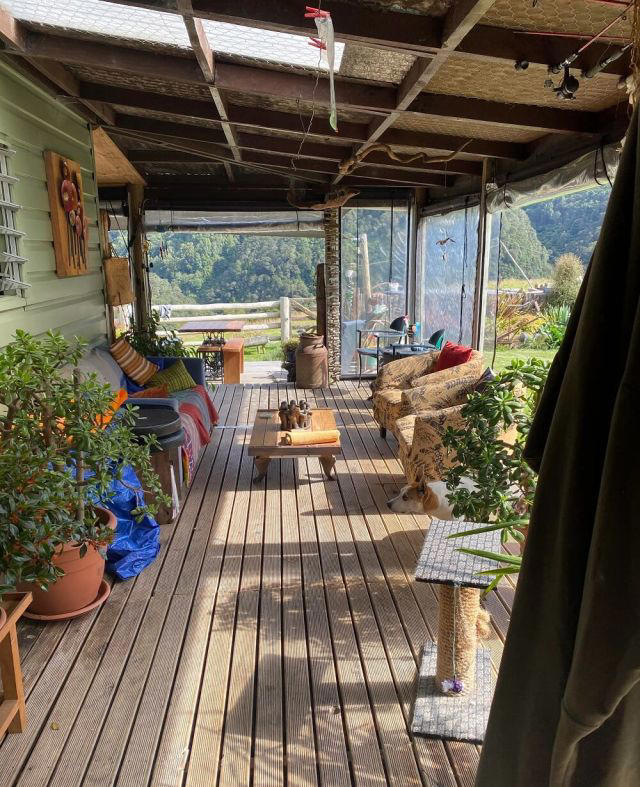 Off-grid homeowner shares breathtaking images of 'amazing' remote cabin ...