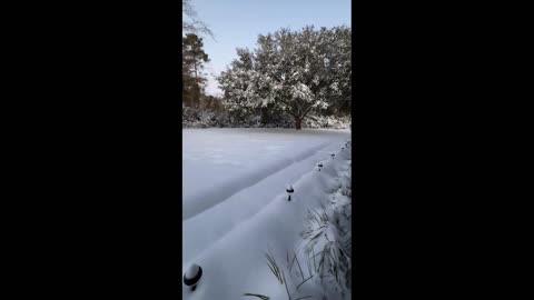 US: Historic Winter Storm Blankets South With Record-Breaking Snow 2