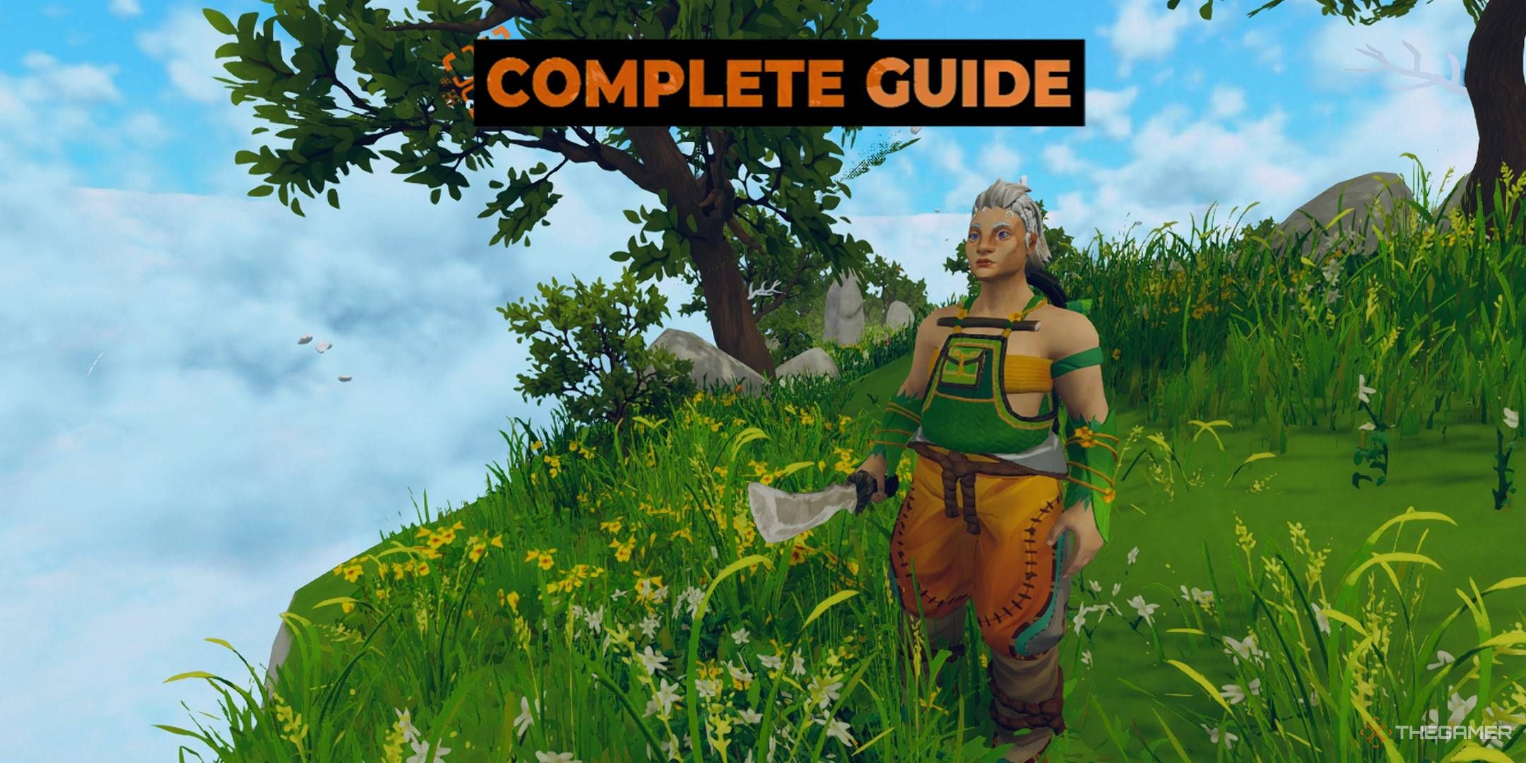 Complete Guide For Aloft