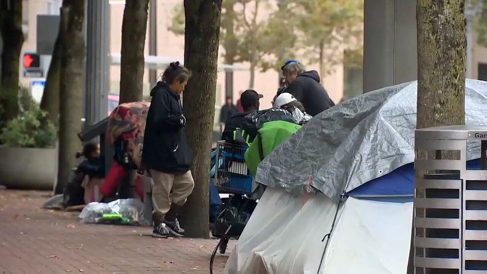 Annual count of homelessness is happening, but some say it is not accurate