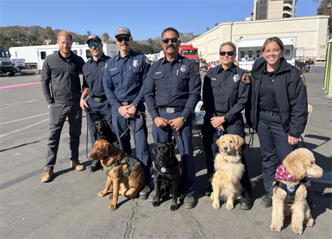 Salinas firefighters, therapy dogs meet Prince Harry at Los Angeles ...