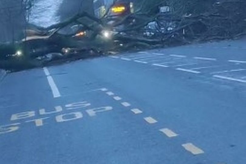 Full list of travel disruption as Storm Eowyn batters Greater ...