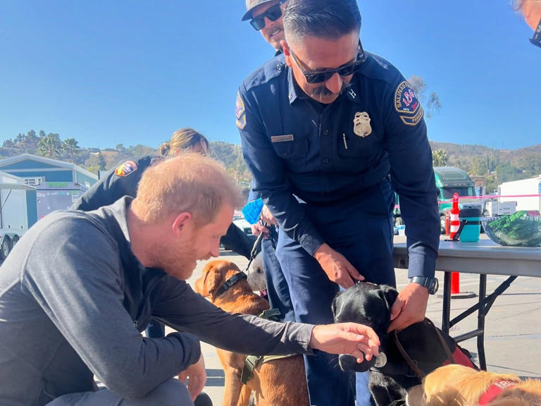 Salinas firefighters, therapy dogs meet Prince Harry at Los Angeles ...