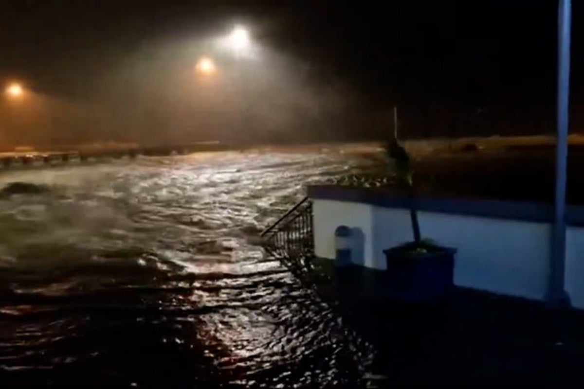 Storm Eowyn: Heavy winds and rain lash Galway Aquarium in 'worst ...