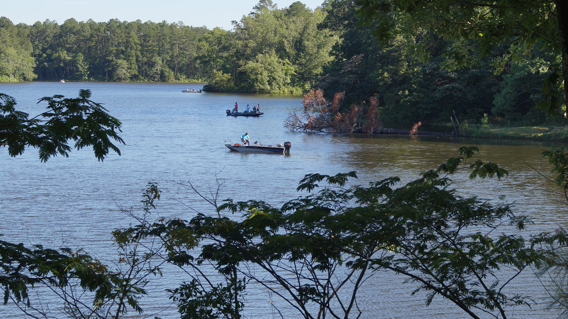 Neshoba County Lake closed: Here are 11 other lakes where you might ...