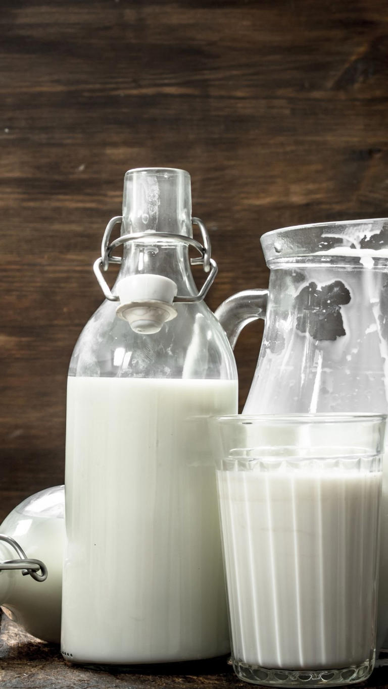 7 Benefits Of Consuming Camel Milk