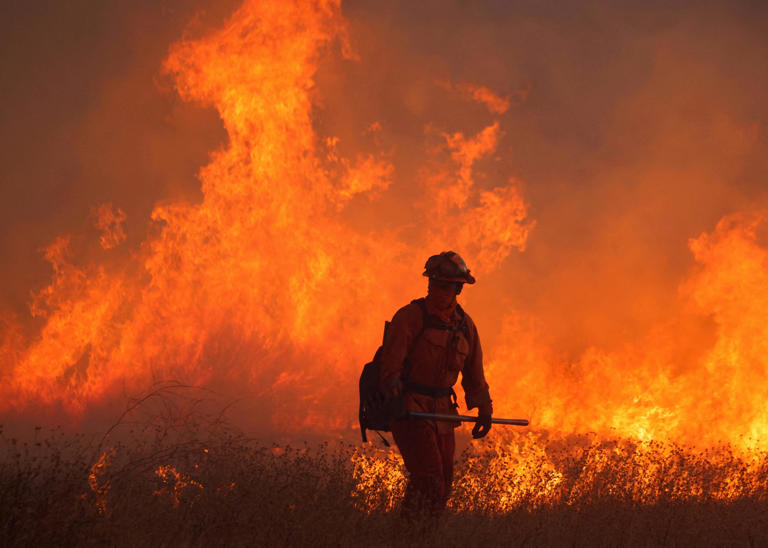 'Hotter, drier, and more flammable': Scientists say climate change ...