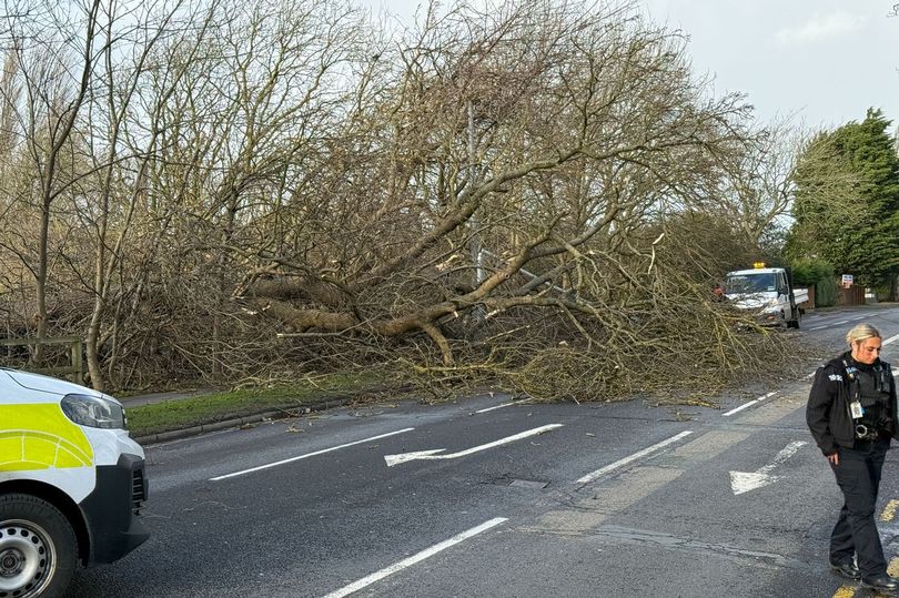 Hundreds of North East homes still without power after Storm Éowyn