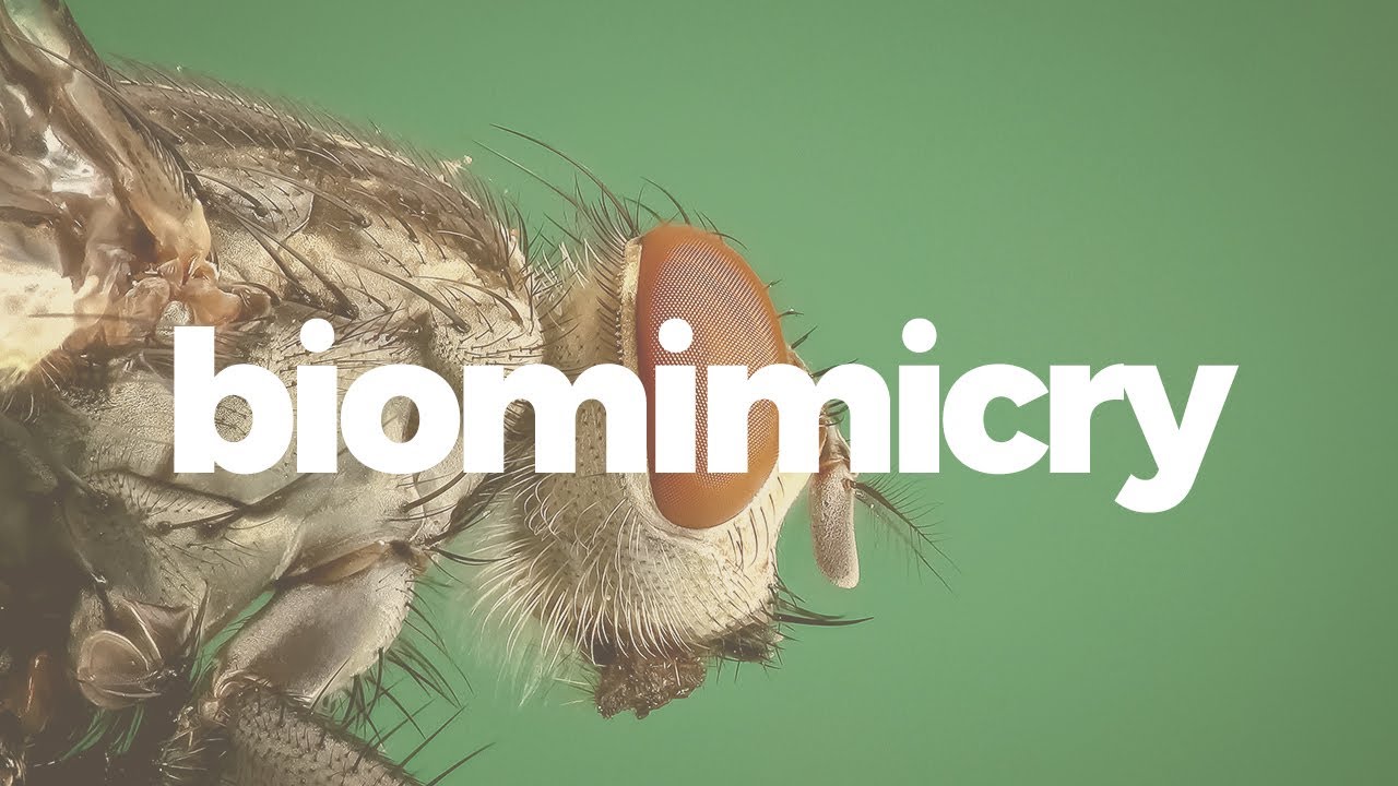 Biomimicry is more than just good design