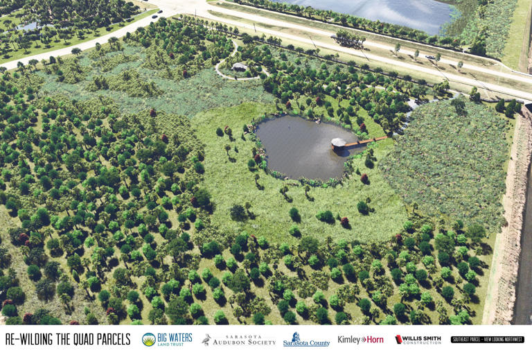 Land near Sarasota's Celery Fields to be turned into wildlife habitat