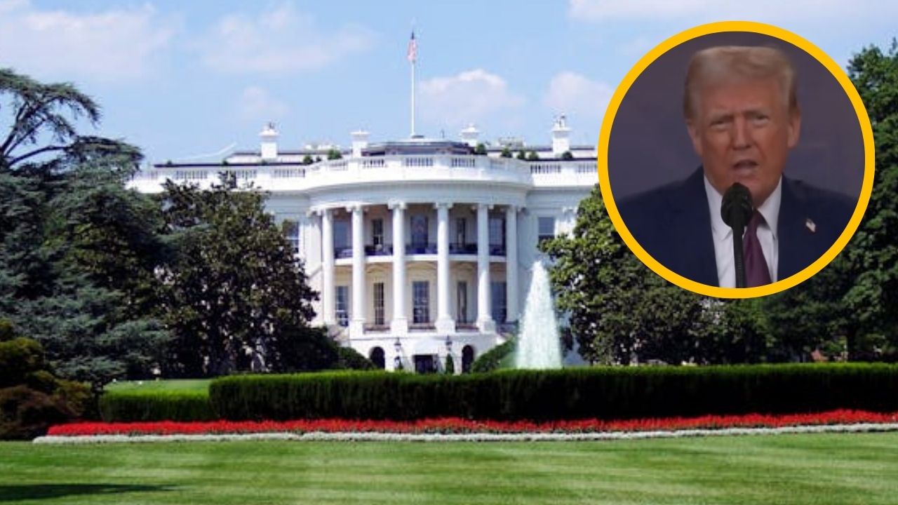 Donald Trump’s Horoscope: Astrologer Amy Tripp Reveals What’s to Come