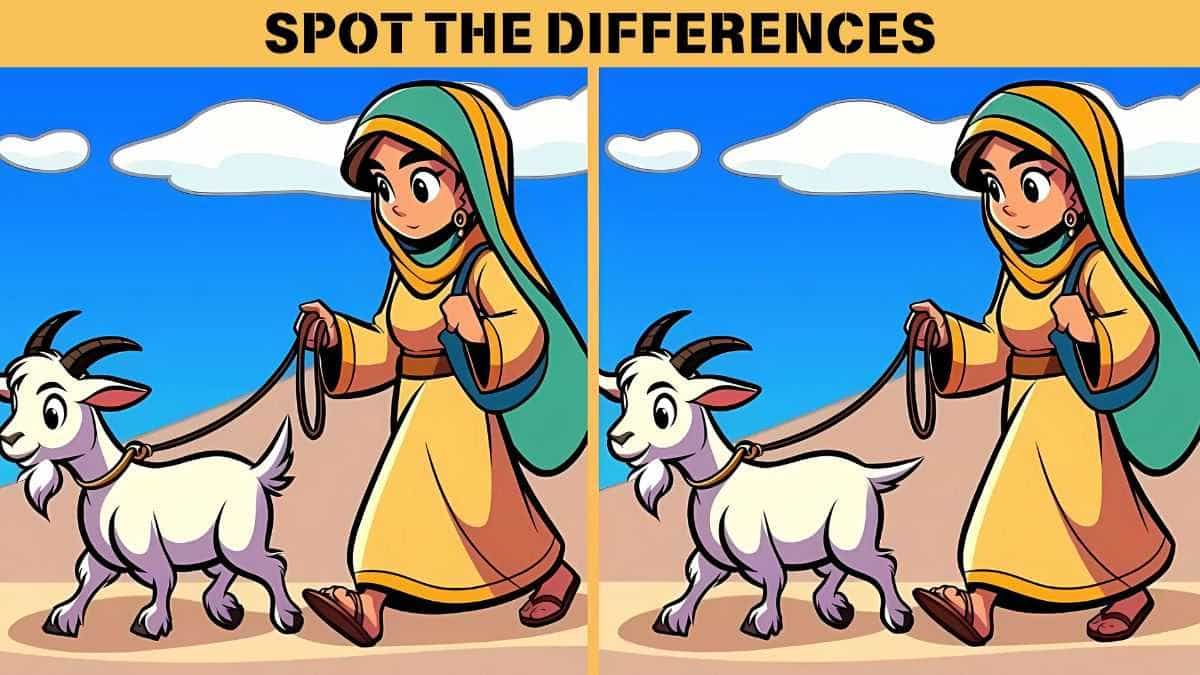 Spot the Differences: Find 3 differences between the girl with her goat ...