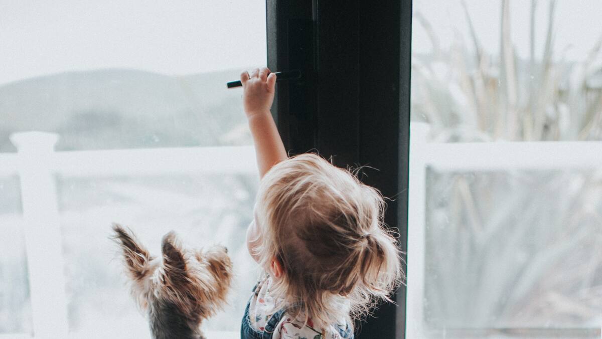 Frischluft gegen Schimmel-Schreck: So wichtig ist regelmässiges Lüften