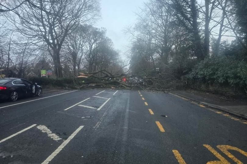 In pictures: The devastating effects of Storm Éowyn as UK battered by ...