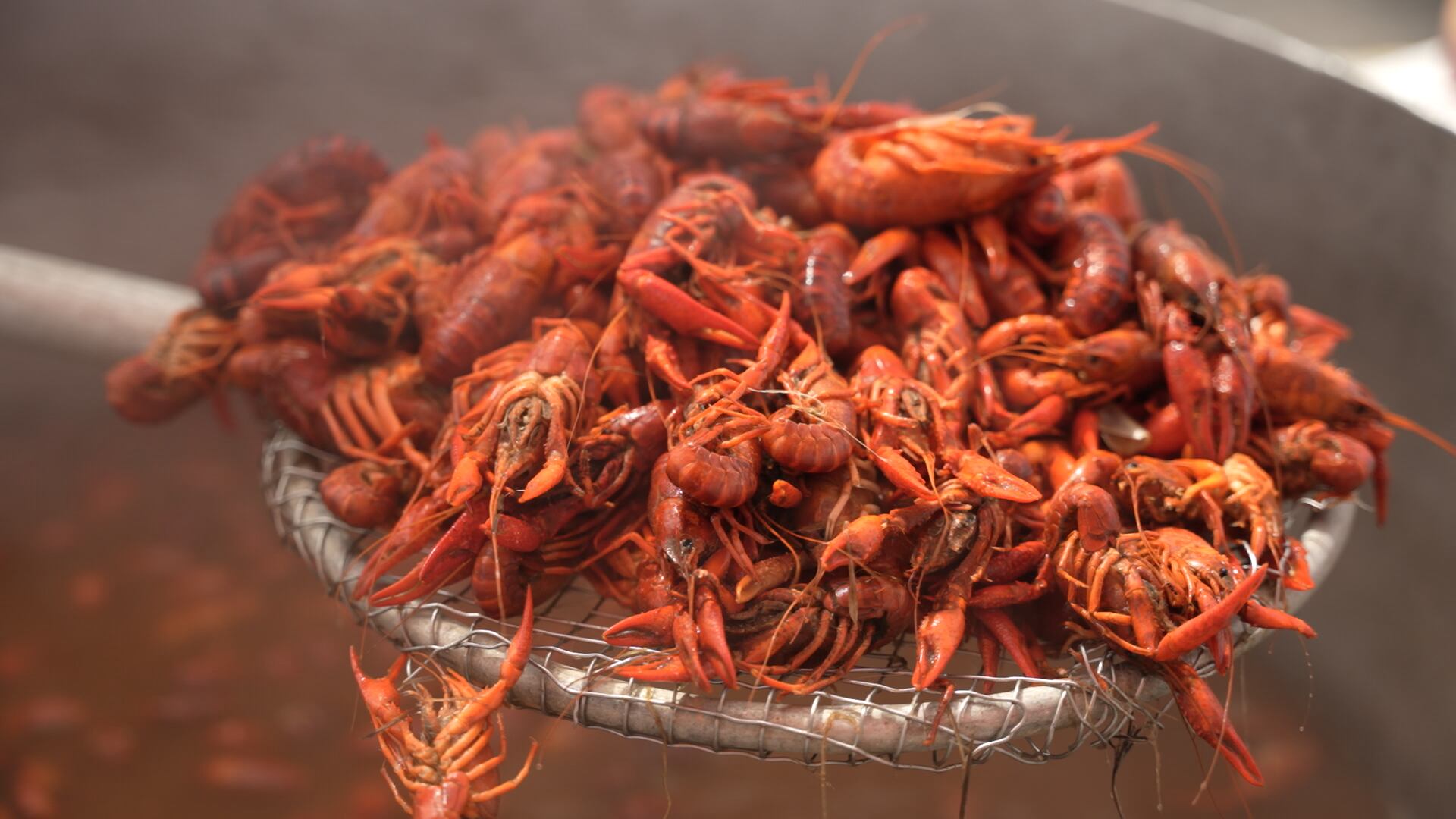 Will the snow impact crawfish season in Louisiana?