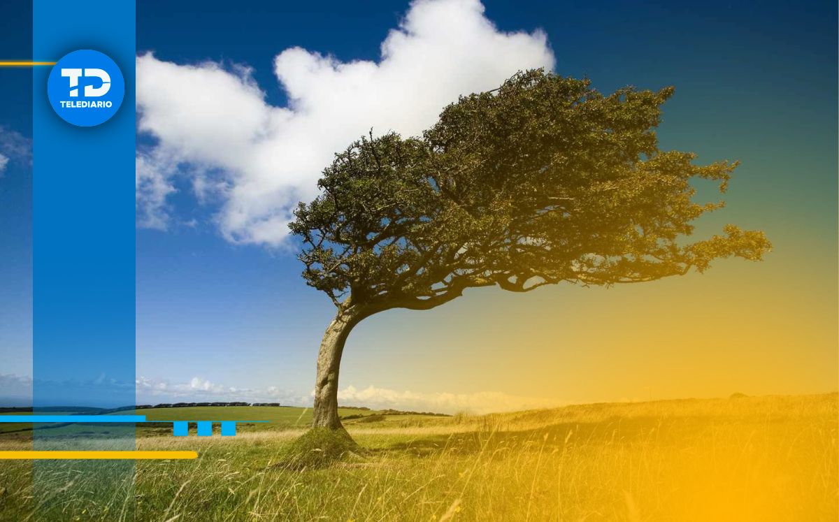 Pronóstico del tiempo Costa Rica: Cómo estará el clima HOY 24 de enero