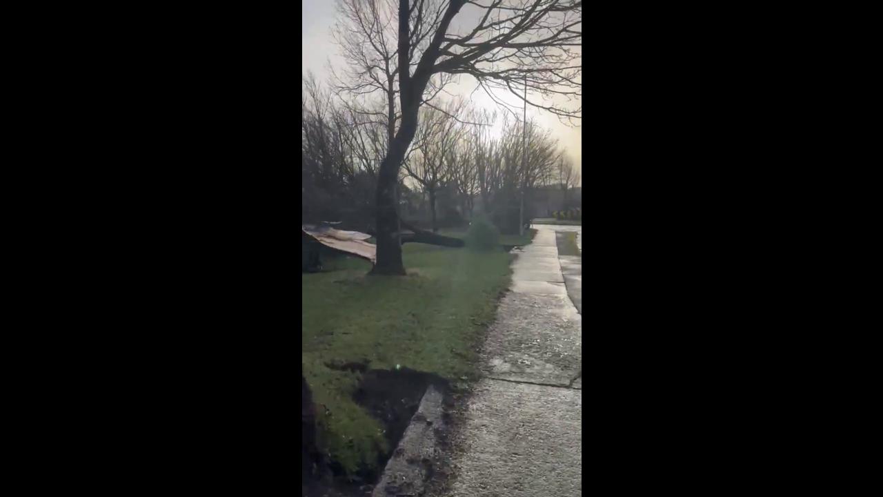 Storm Eowyn uproots trees in Galway, Ireland