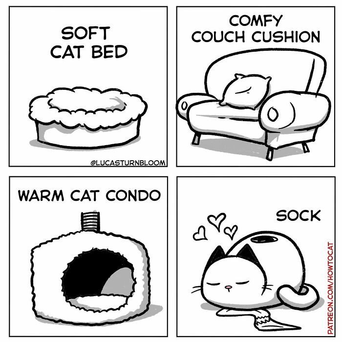 15 Comics That Highlight Hilariously Relatable Cat Behaviors ...