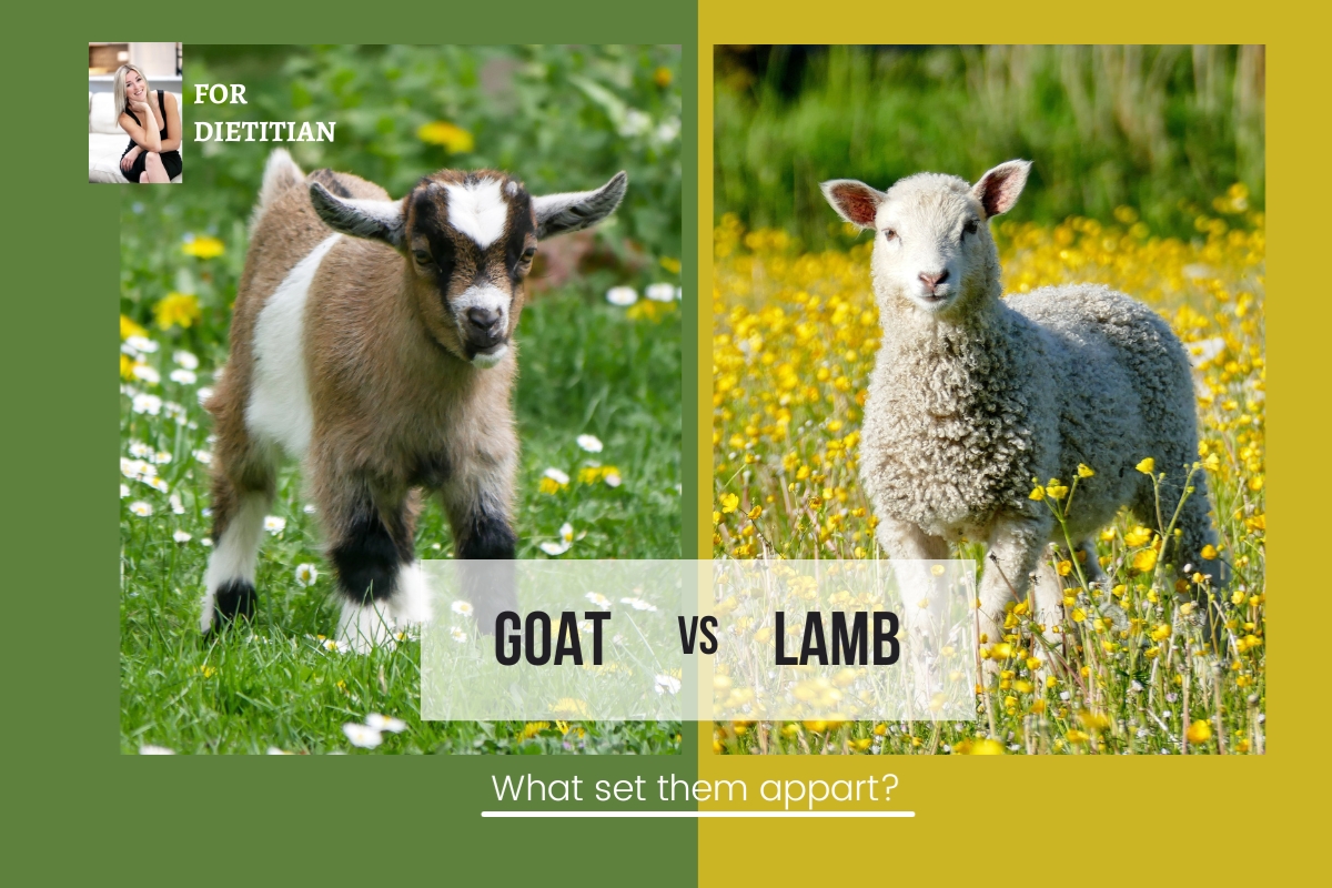 Lamb vs Goat Meat