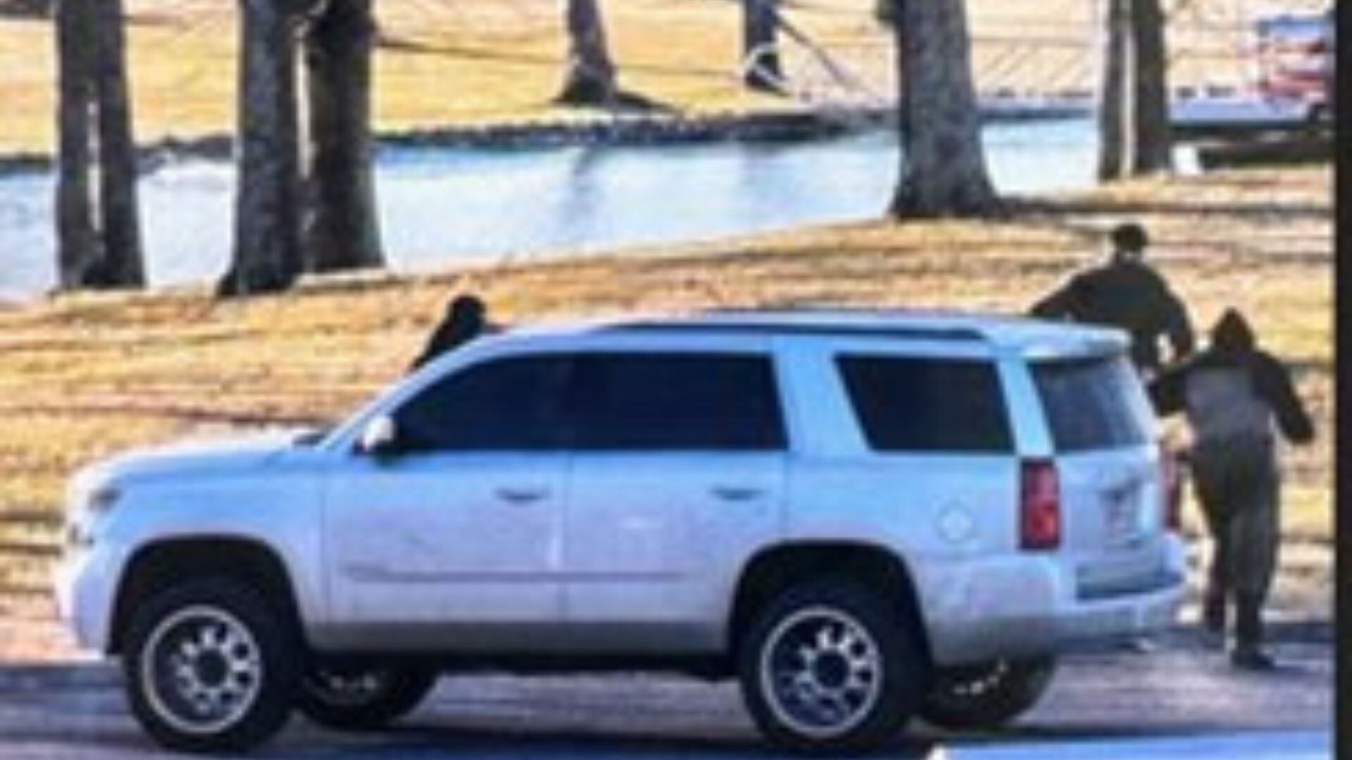 Man charged for allegedly shooting, killing goose at Gallatin park