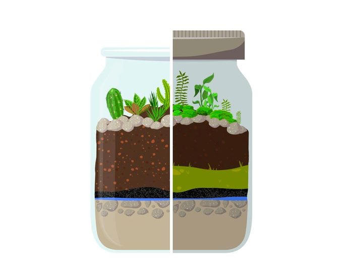 Make a Terrarium to Bring the Outdoors in