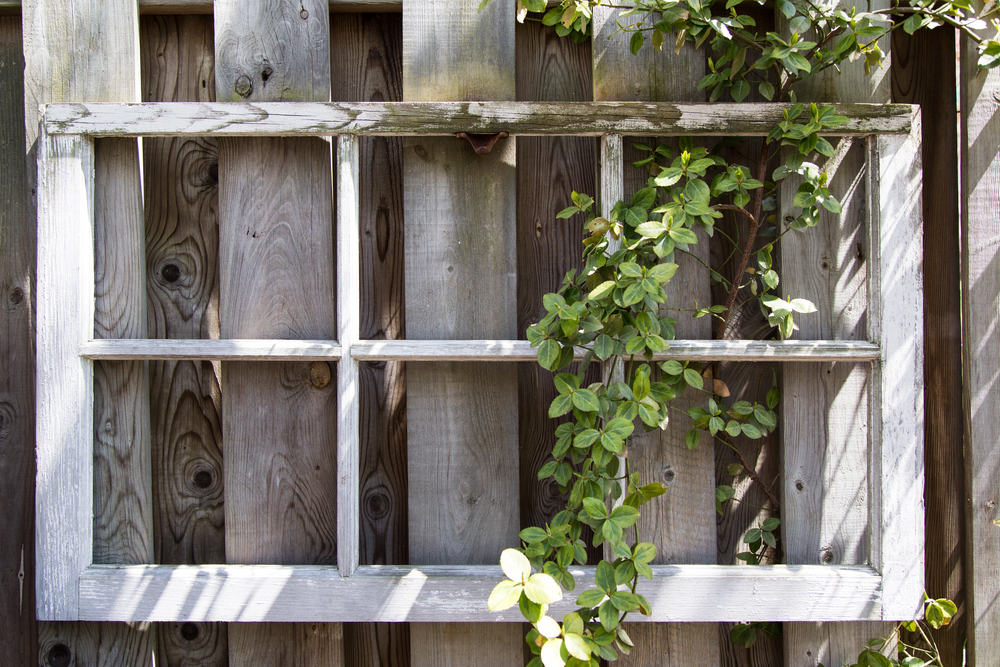 20 Creative Ways to Turn Old Windows into Garden Decorations
