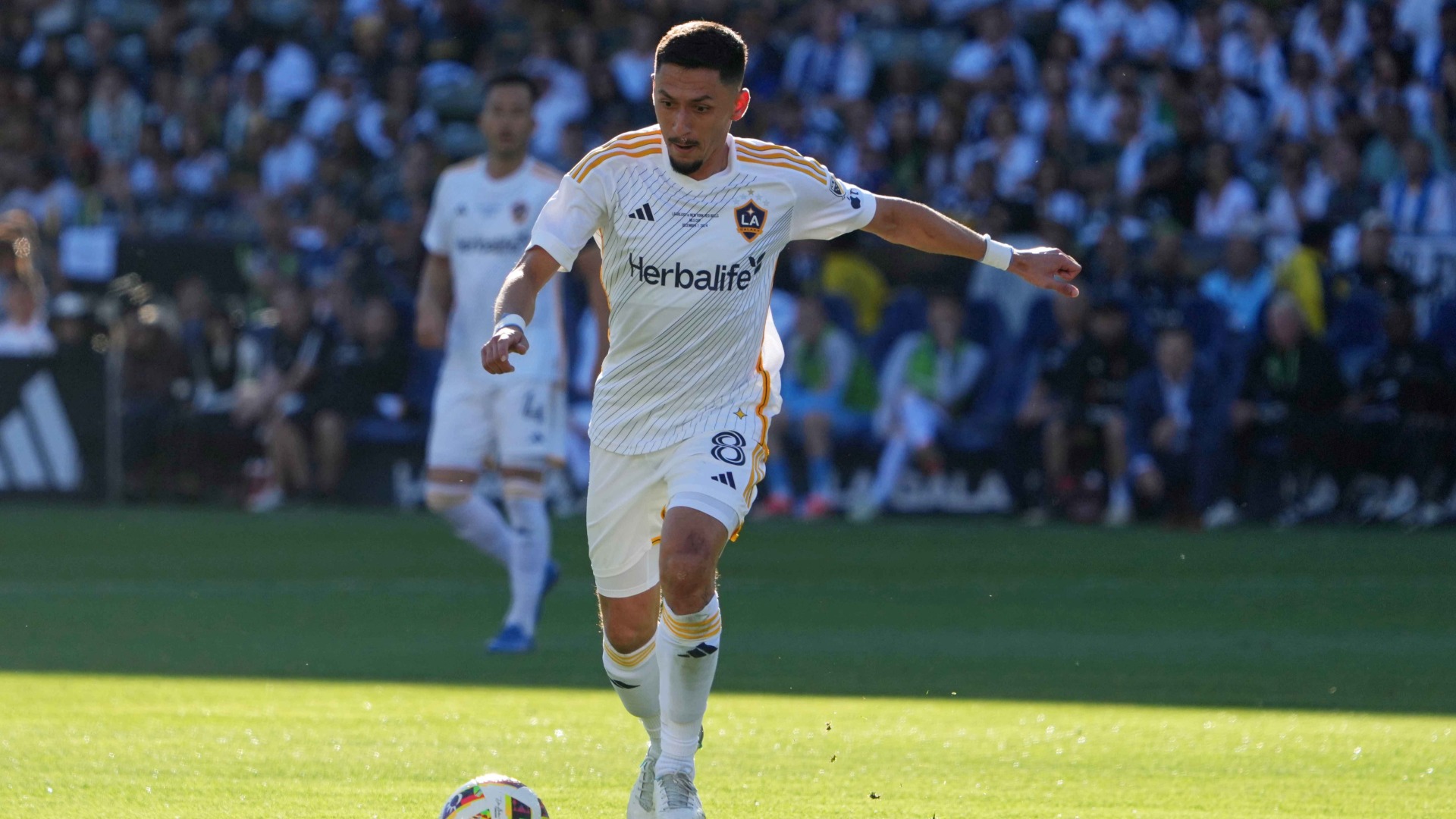 MLS Roster Moves & Key Player Transfers for the Season