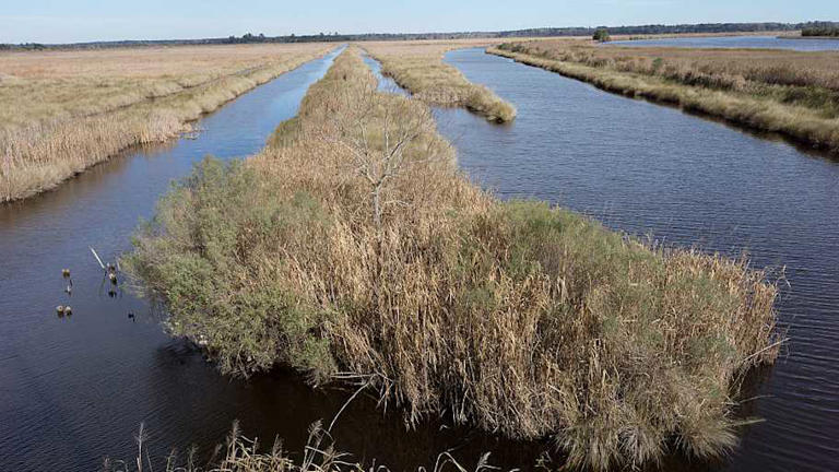 When Harriet Tubman Helped Lead a Civil War Raid That Freed 750 People