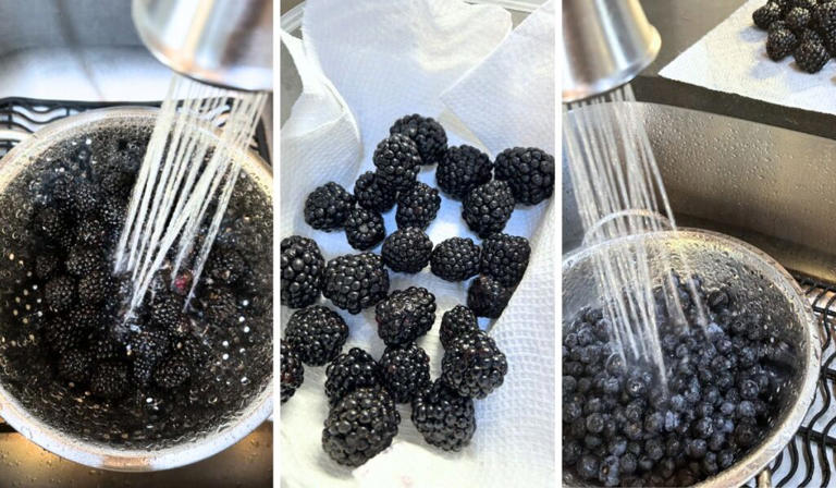 How to keep berries fresh for days in the refrigerator