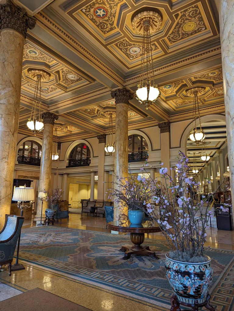 11 Amazing Washington DC Hotels for the Perfect Stay