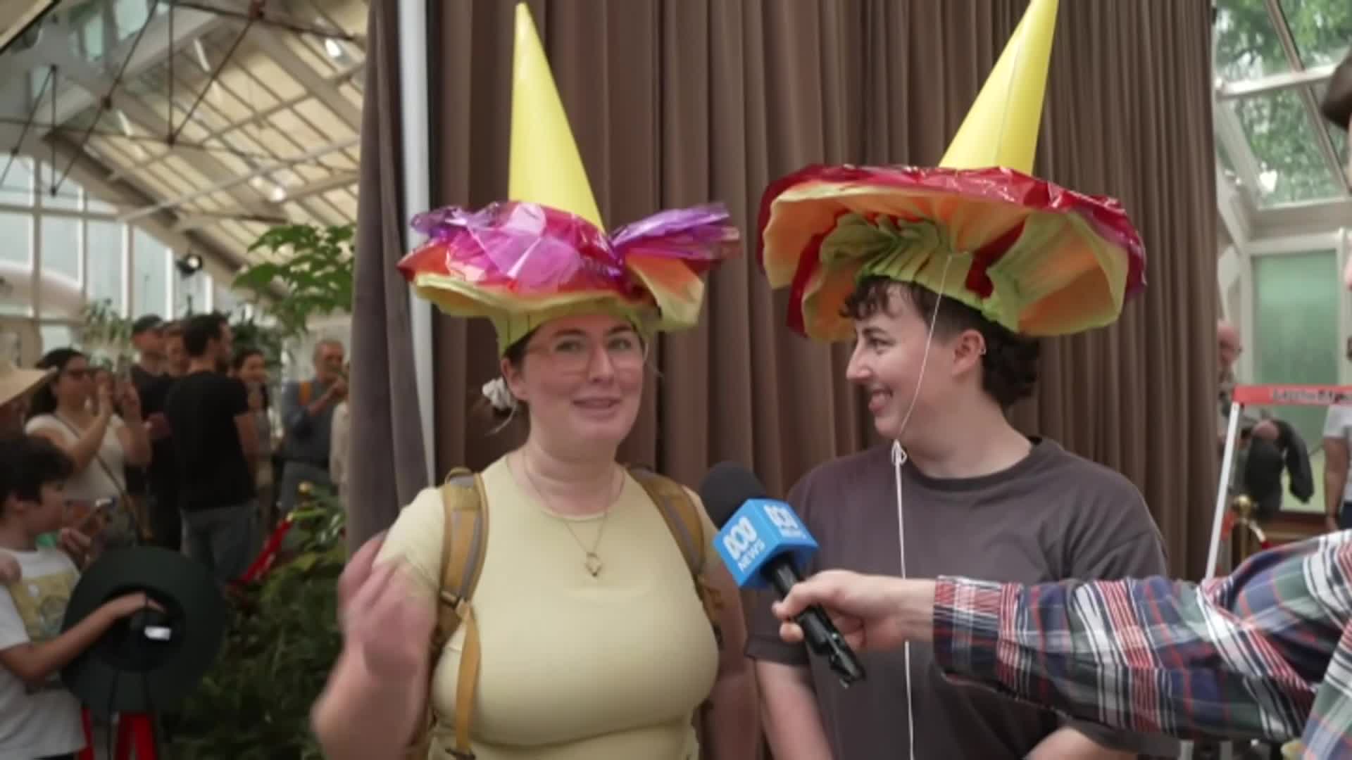 Putricia the putrid corpse flower at Sydney Botanic Garden basks in ...