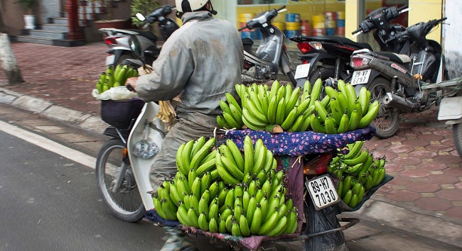 10 Fakta Buah Pisang yang Unik, Bersifat Radioaktif hingga Dianggap Beri