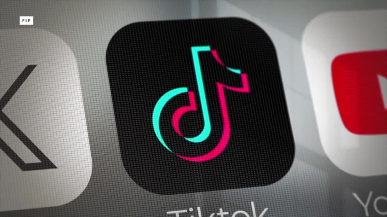 How much would you pay to buy a phone with Tik Tok installed?